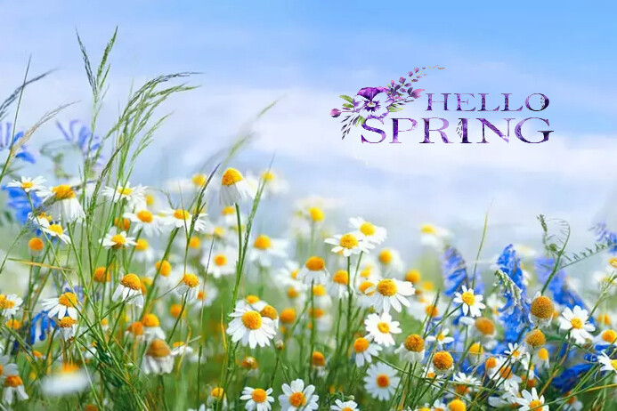 Hello Spring Template | PosterMyWall
