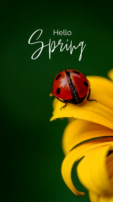hello spring Template | PosterMyWall