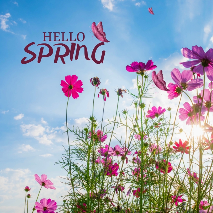 Hello spring Template | PosterMyWall