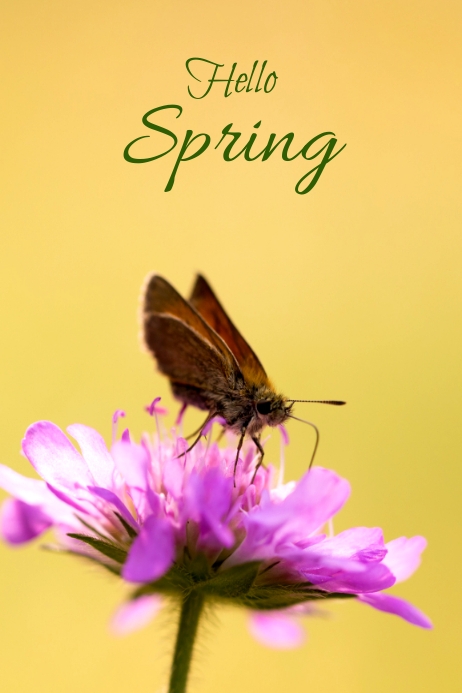 hello spring flyer template | PosterMyWall