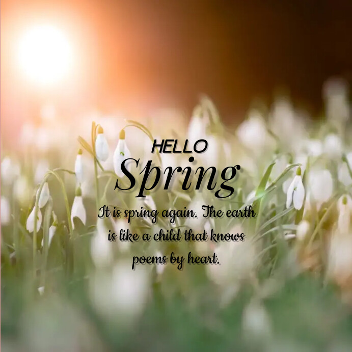 Hello Spring Instagram Post Template | PosterMyWall