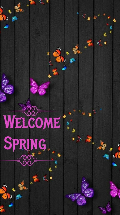 Hello spring instagram Story Template | PosterMyWall