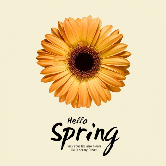 Hello Spring Wish Templat | PosterMyWall