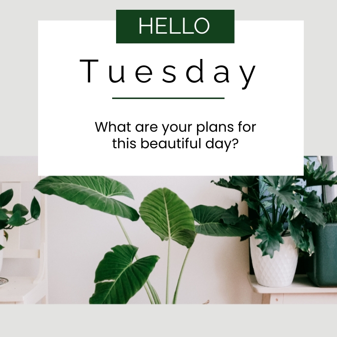 Copy of Hello Tuesday | PosterMyWall