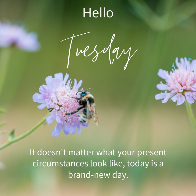 Hello tuesday flyer template | PosterMyWall