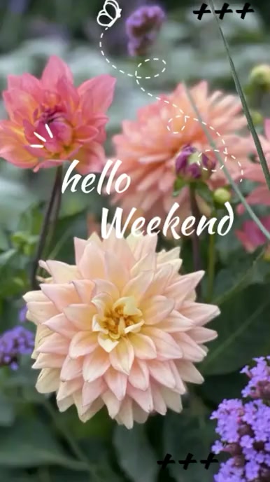 Hello weekend Template | PosterMyWall