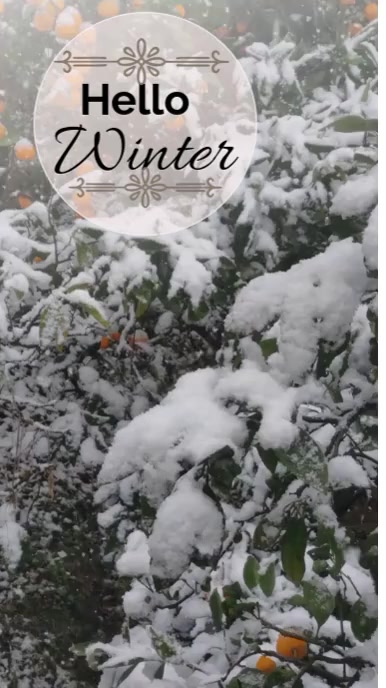 Hello winter Template | PosterMyWall