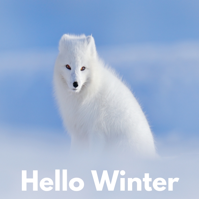 Hello winter Instagram post template | PosterMyWall