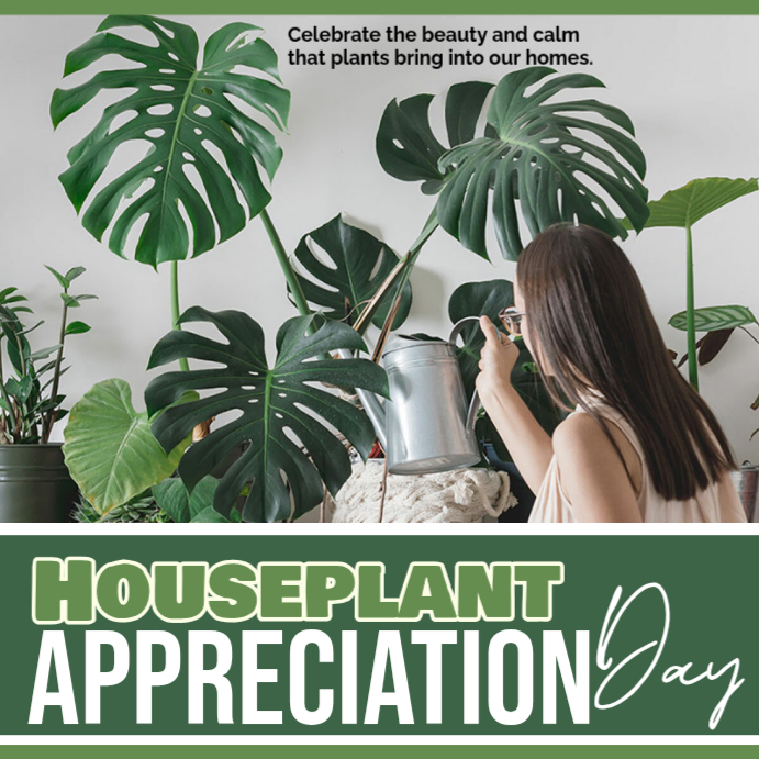 Houseplant Appreciation Day Template | PosterMyWall