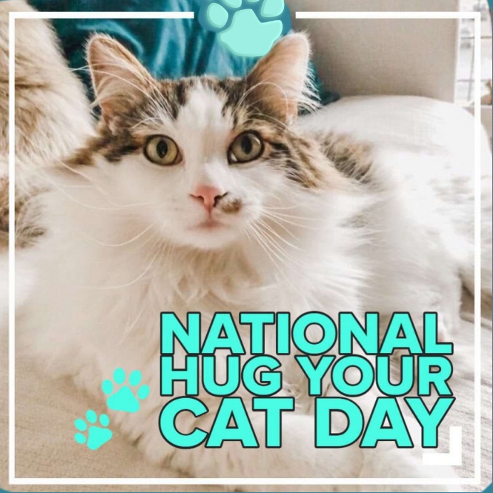 Happy National Hug Your Cat Day