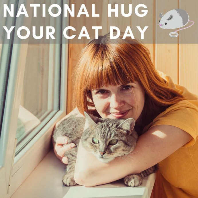 hug your cat day Template | PosterMyWall