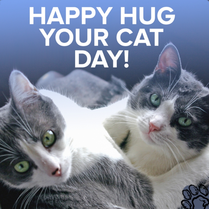 hug your cat day Template | PosterMyWall