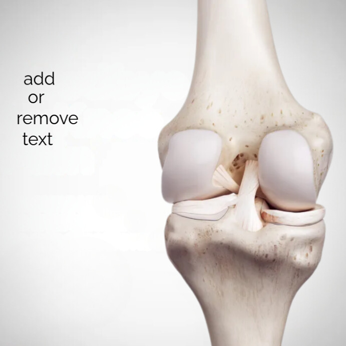Human Knee Joint Anatomy - Ligaments, Cartilage, and Bones Template ...
