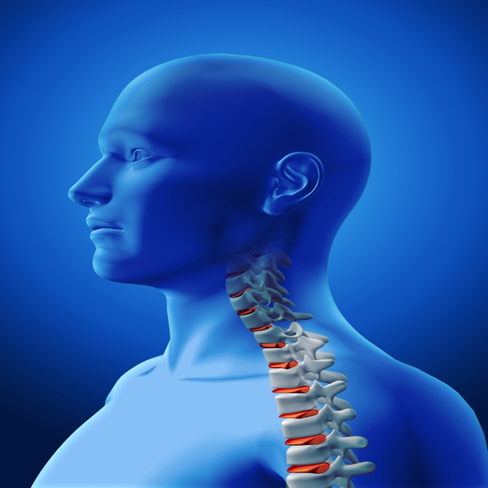 Human spine design flyer Template | PosterMyWall