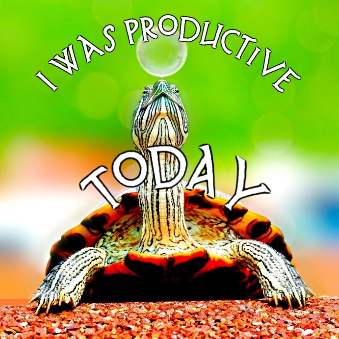 I Was Productive Today Cute Turtle Template | PosterMyWall
