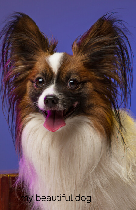 Esta plantilla de diseño no está disponible | PosterMyWall