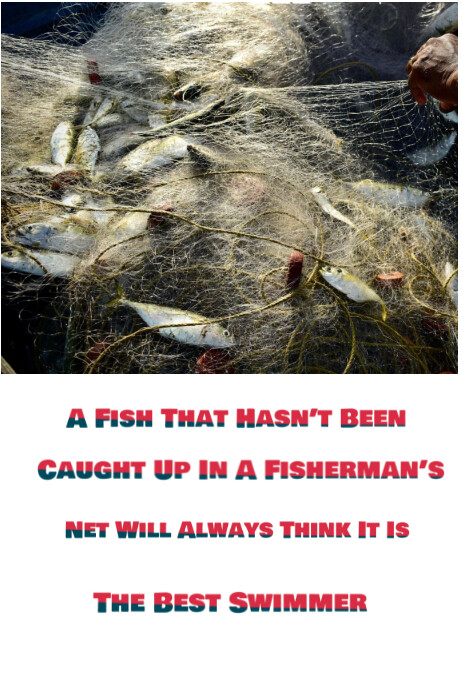 Illustrative Fish Quote Banner 4' × 6' Template | PosterMyWall