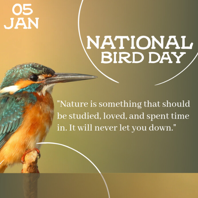 Illustrative National Bird Day Instagram Post Template | PosterMyWall