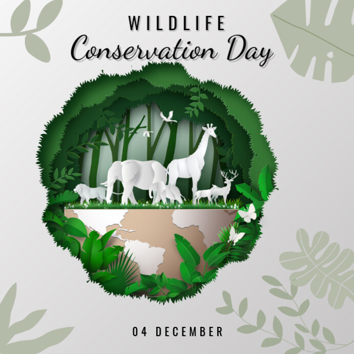 Copy of Illustrative Wildlife Conservation Instagram Post 2024 ...
