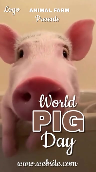 Illustrative World Pig Day Instagram Reel Template | PosterMyWall