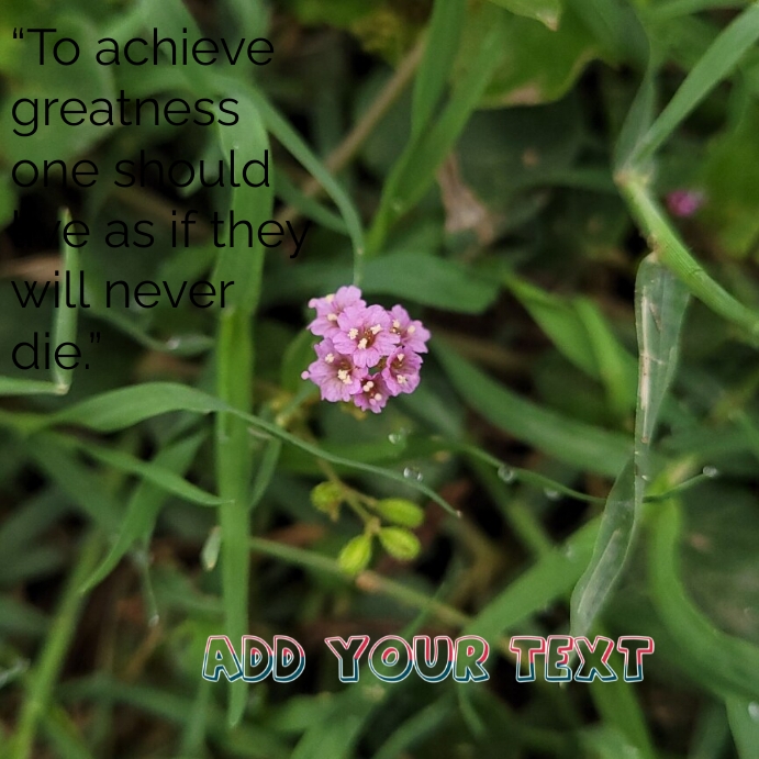 Insta quote Template | PosterMyWall