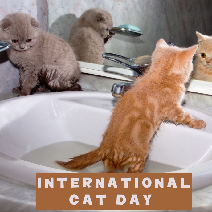 INTERNATIONAL CAT DAY (11) Template | PosterMyWall