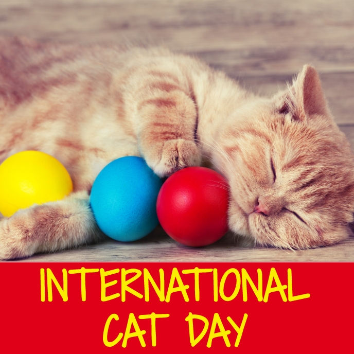 INTERNATIONAL CAT DAY (17) Template | PosterMyWall