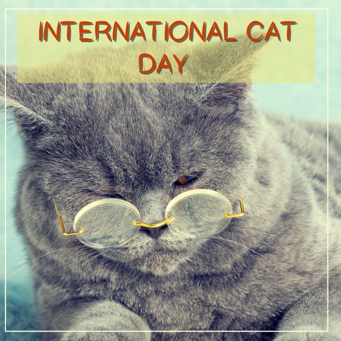 INTERNATIONAL CAT DAY (5) Template | PosterMyWall