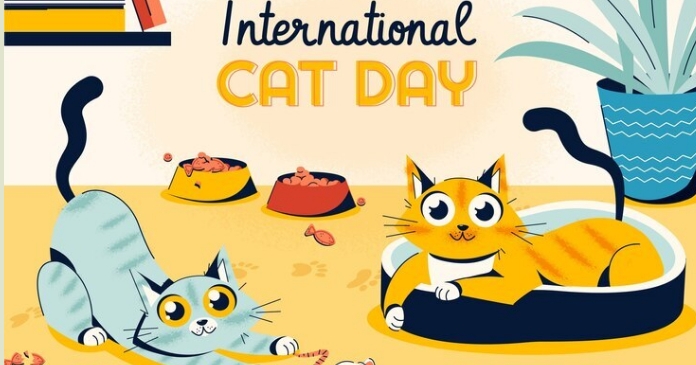 International cat day Template | PosterMyWall
