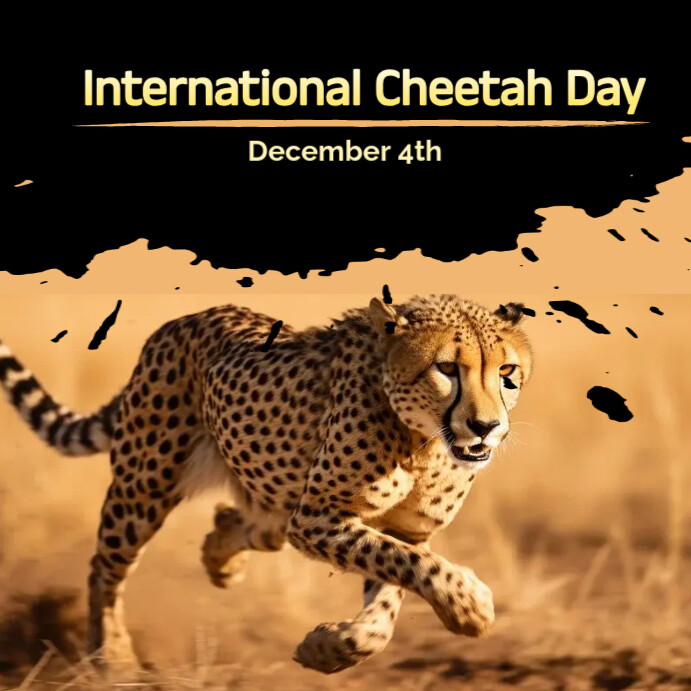 international cheetah day Template | PosterMyWall