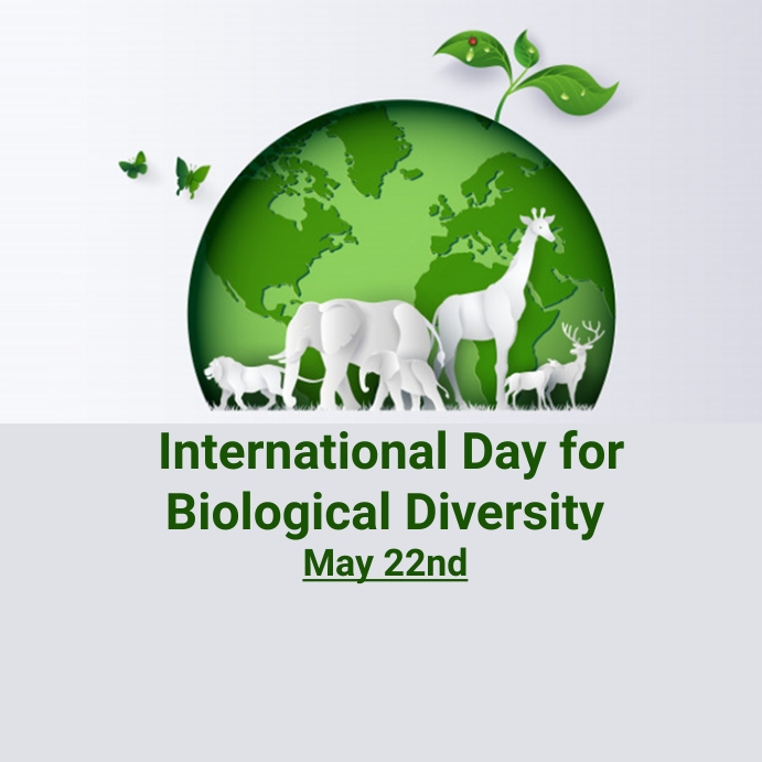 Plantilla de international day for biological diversity | PosterMyWall