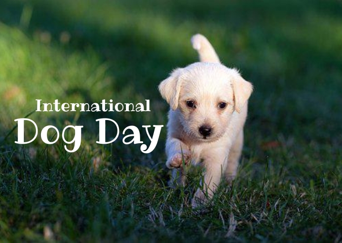 International dog day Template | PosterMyWall