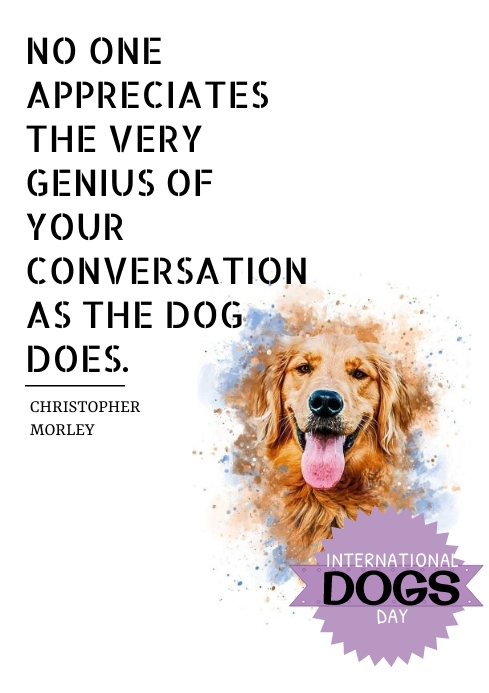 international dogs day A4 template | PosterMyWall