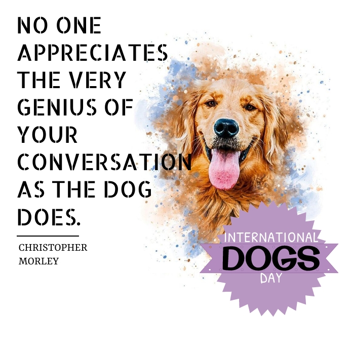 international dogs day INSTAGRAM POST templat Template | PosterMyWall