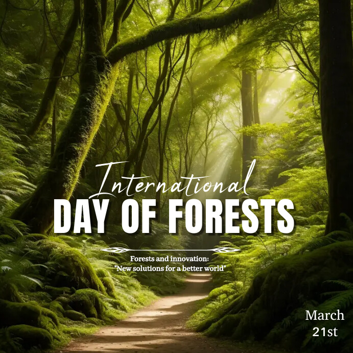 International forest day social media post Template | PosterMyWall