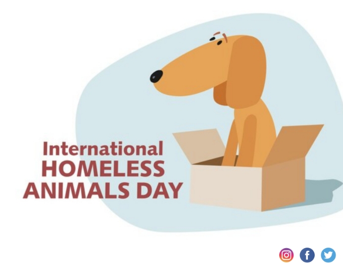 International homeless animal day template | PosterMyWall
