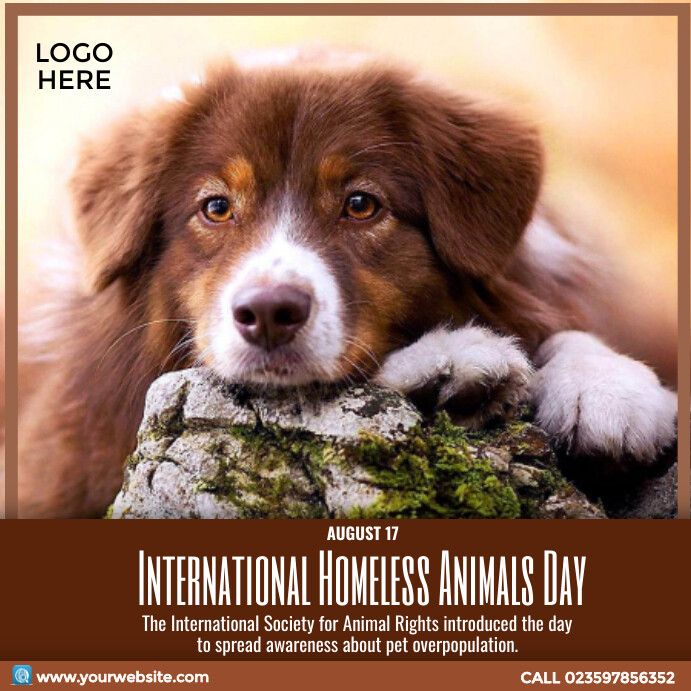 International Homeless Animals Day Template | PosterMyWall