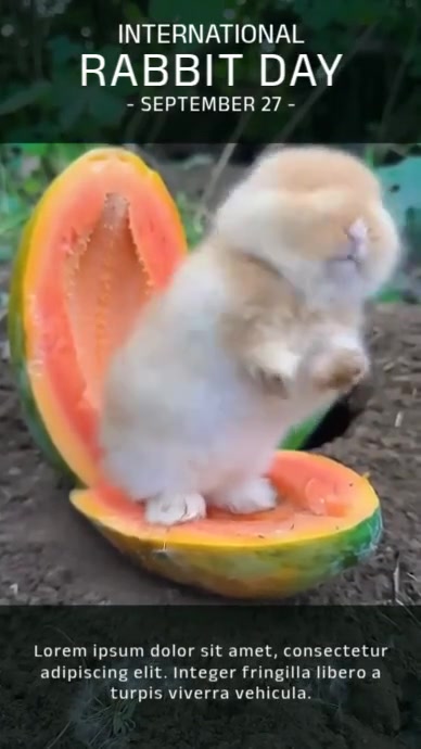 international rabbit day Template | PosterMyWall