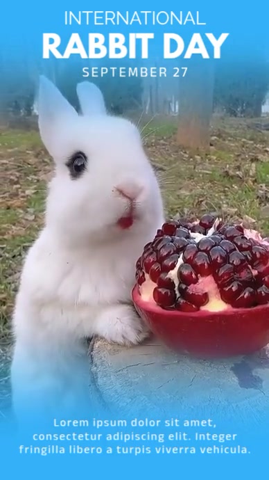 Copy of international rabbit day | PosterMyWall