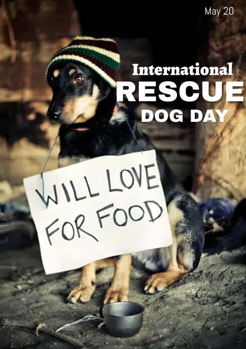 International rescue dog day Template | PosterMyWall