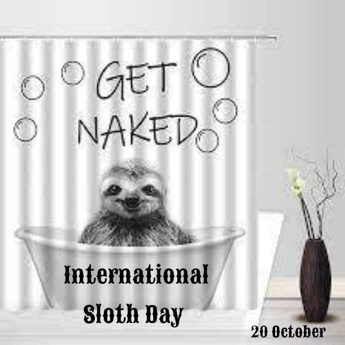 international sloth day instagram post Template | PosterMyWall