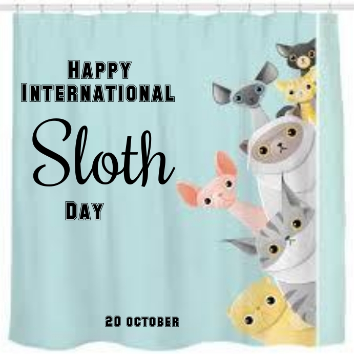 international sloth day instagram post Template | PosterMyWall