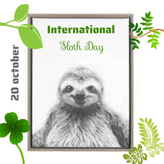 international sloth day instagram post Template | PosterMyWall