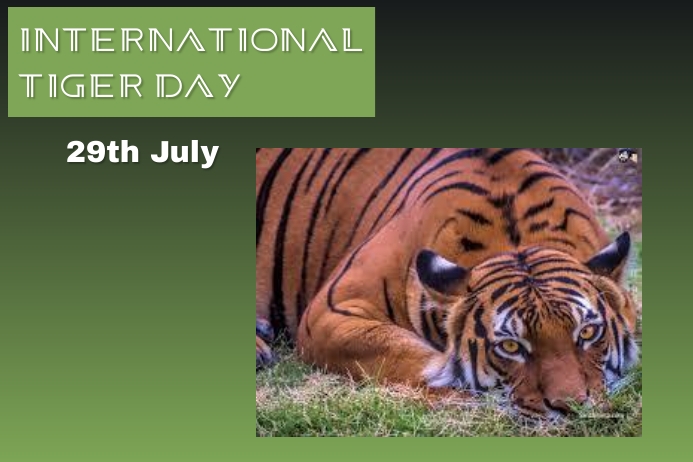 International Tiger Day Template | PosterMyWall