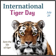 international tiger day Template | PosterMyWall