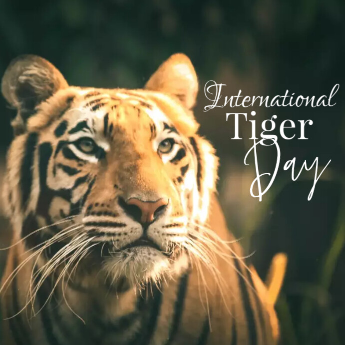 International Tiger Day Template | PosterMyWall