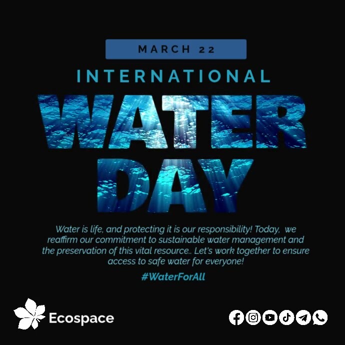 Copy of International Water Day Instagram Video Post | PosterMyWall