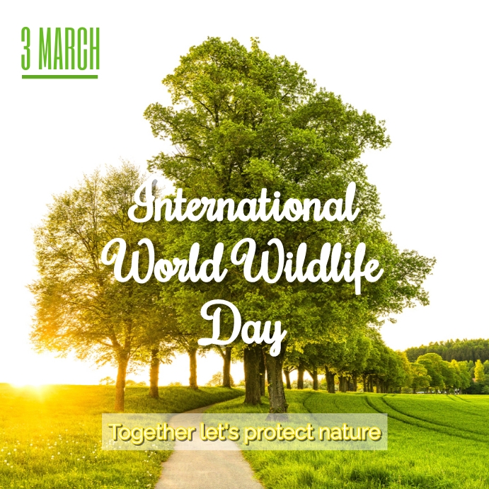 INTERNATIONAL WORLD DAY Template | PosterMyWall