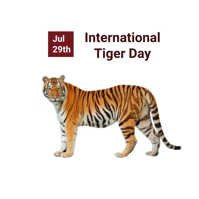 interntional tiger day Template | PosterMyWall