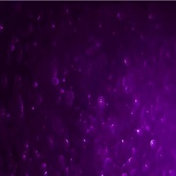 INTRO BACKGROUND Template | PosterMyWall